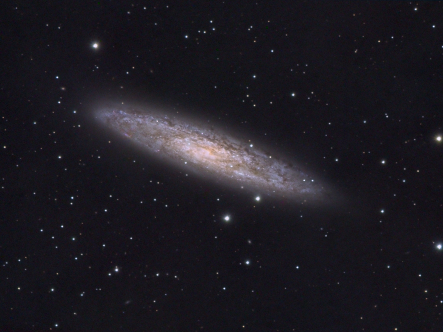 NGC 253 - Sculptor Galaxy